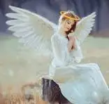 180 Angel Puns So Good, They’ll Make You Fly For 2025 😇